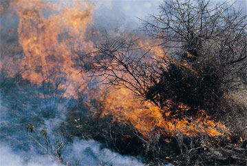 Bushfire Information - Liverpool City Council